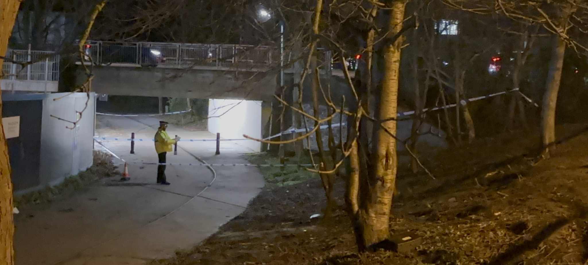 Staple Tye: Teenager charged with attempted murder and kidnap