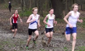 Athletics: Harlow AC impress indoors and out