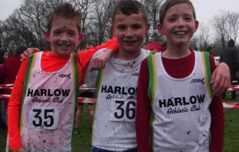 Athletics: Impressive performance by Harlow AC in X-country champs
