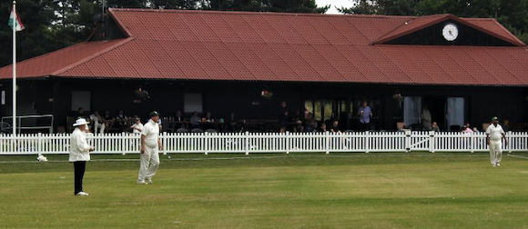 Harlow Cricket Club proud of their new picket fence - Your Harlow